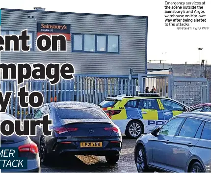 Man who went on stabbing rampage pleads guilty to charges in court - PressReader