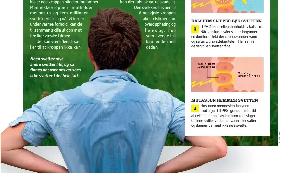noen mennesker ikke kan svette? - PressReader