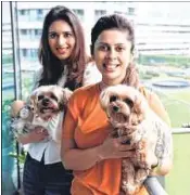 Mr Paws’ Cute CEOs - PressReader