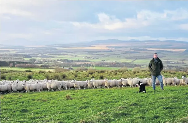 Feed switch lifts flock health - PressReader