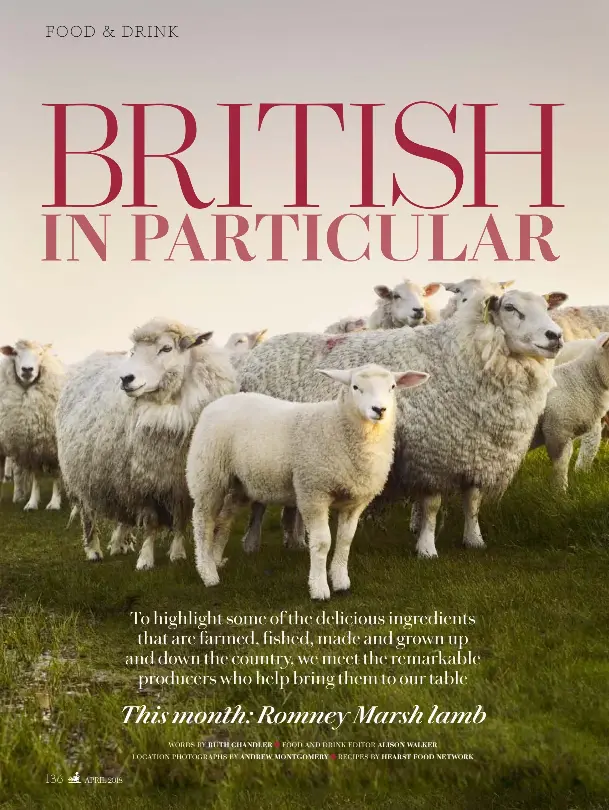 BRITISH IN PARTICULAR - PressReader