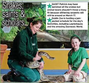 ‘I HEAR YOU’RE IN 1ST PLACE FATHER’ Snakes, TV show Ireland’s favourite ...