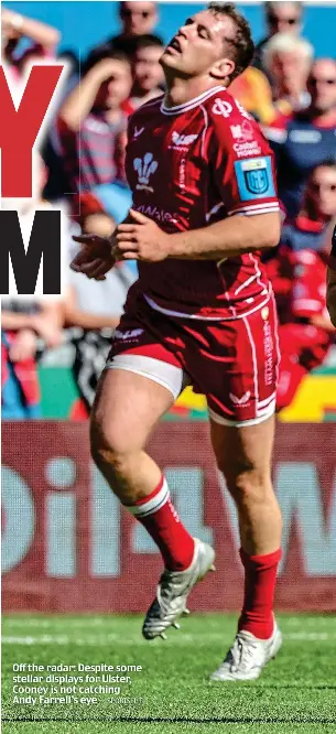 THE COONEY CONUNDRUM - PressReader