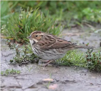 Basic Principles - PressReader