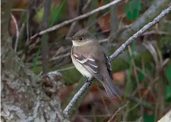 Basic Principles - PressReader