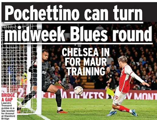 Pochettino can turn midweek Blues round - PressReader