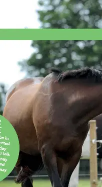 Hormonal mares Understand­ing her seasons • Riding mares • Helping ...