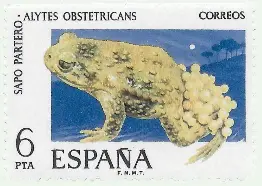A quick hop through frog stamps of the world | Stamp Collector ...