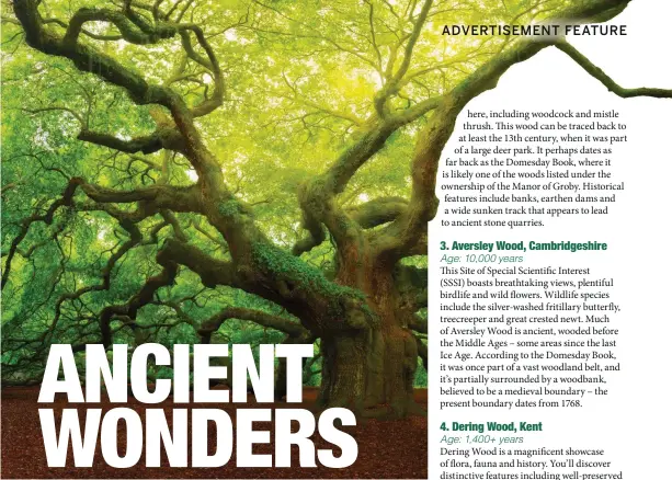 ANCIENT WONDERS - PressReader