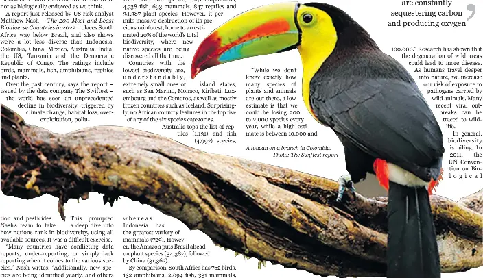 SA’s biodiversi­ty ranks as nothing too special - PressReader