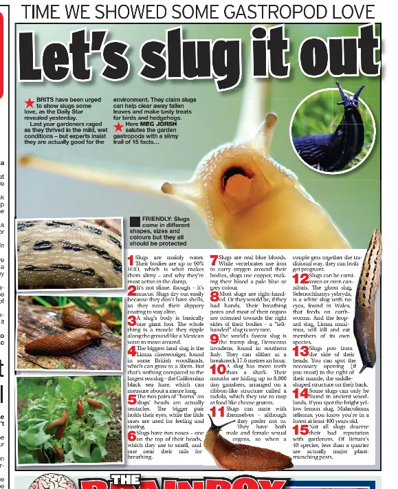 Let’s slug it out - PressReader