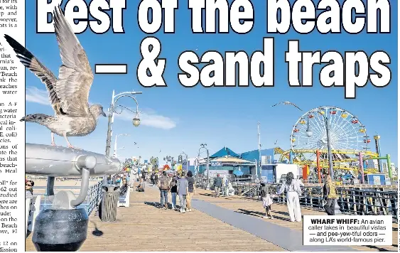 Best of the beach - & sand traps - PressReader