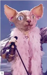 Attachant Nick Carter - PressReader