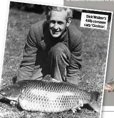 Redmire for sale! Legendary carp water up for grabs - full story and ...