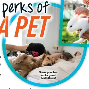 The surprising perks of HAVING A PET - PressReader