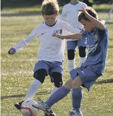 NATHAN, ETHAN, SHAY AND THOMAS ARE CITY SLICKERS - PressReader