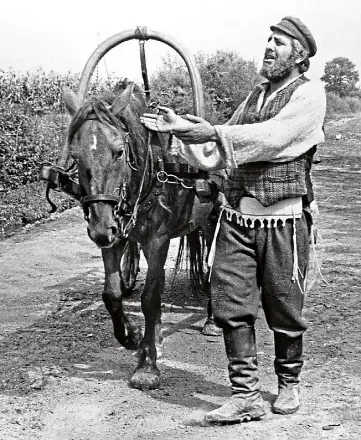 Fiddler On The Roof actor and charitable man of Israel - PressReader