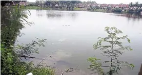 Jalong rep: Mindset change needed on flash flood issue - PressReader