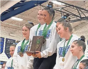 Berlin, Olentangy seek to upend champion - PressReader