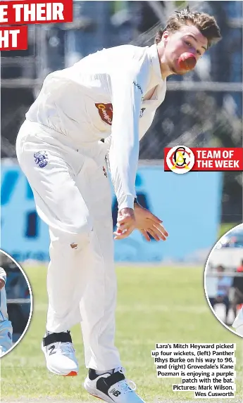 THUMBS UP FOR FINCH FOR T20 TOP JOB: - PressReader