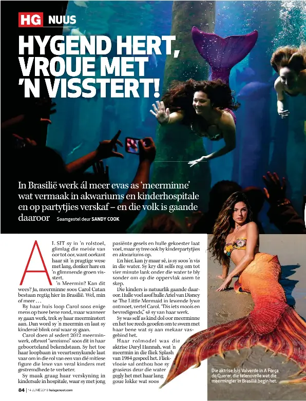 Meermin-gier pak Brasiliane beet - PressReader