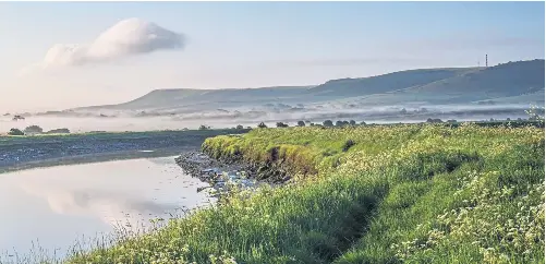 Call for action to improve the health of our South Downs waterways ...