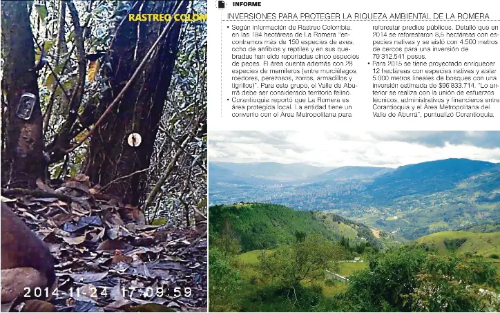 Parque de Sabaneta, viven pumas - PressReader