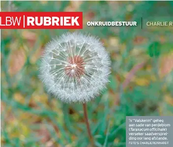 Onkruid: Bekamping begin met kennis vanvyand - PressReader