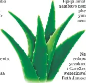 Iyisixazul­ulo kokuningi inhlaba - PressReader