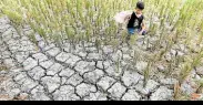 Luzon drought seen amid sparse rainfall - PressReader