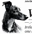 Working Dogs - PressReader