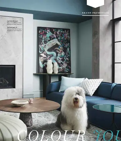 COLOUR JOURNEY - PressReader