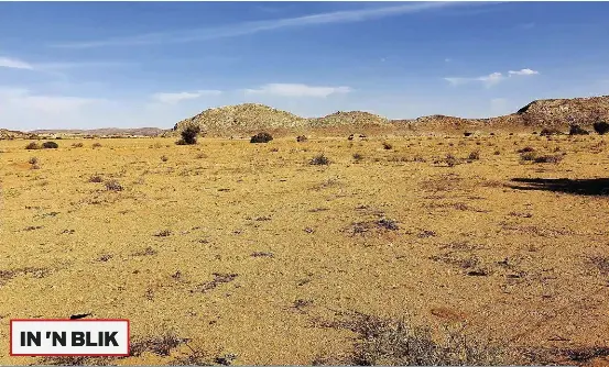 IN ’N BLIK - PressReader