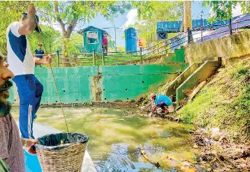 Kandy’s 10-day garbage pile a lingering headache for council - PressReader