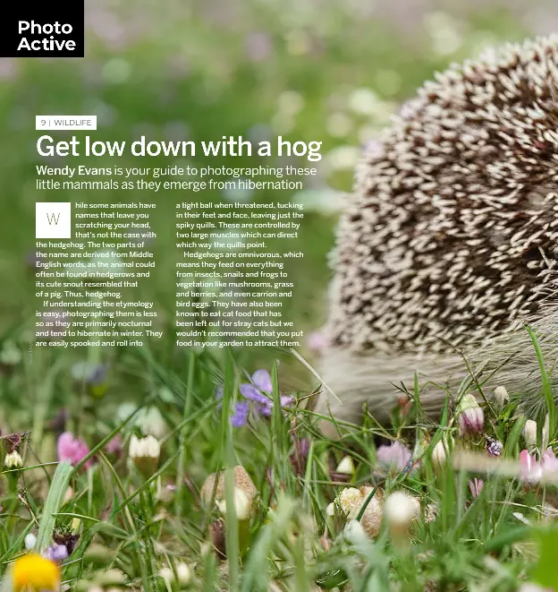 Get low down with a hog - PressReader