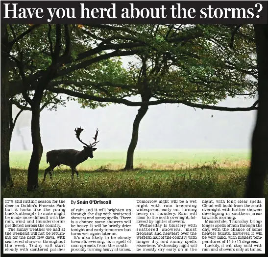 Have you herd about the storms? - PressReader