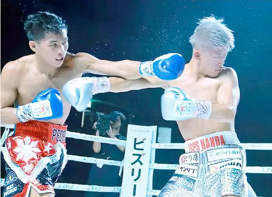 PRIDE AND JOY - PressReader