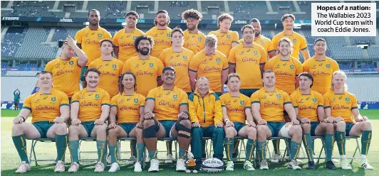 EYES ON THE BALL - PressReader