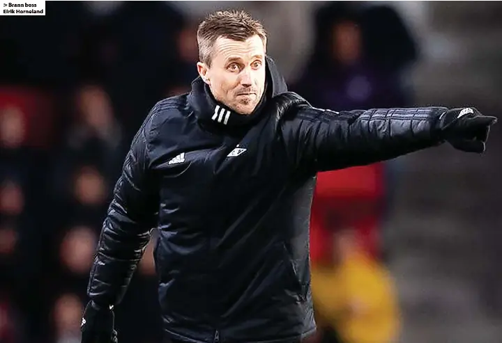 Bluebirds made a move for Norwegian boss Horneland - PressReader