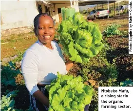 Young Farmer clucks big ambitions - PressReader