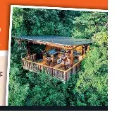 Forest bathing:: A new niche market for... - PressReader