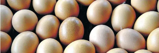 An egg-cellent idea: business associatio­n helps KZN farmers - PressReader