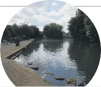 Duncan Beckley - PressReader