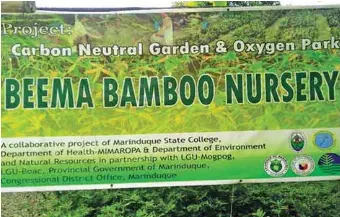 BEEMA BAMBOO; Health enhancer and clean energy producer - PressReader