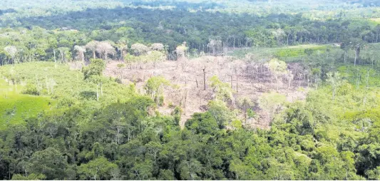 Lula picks Amazon defender for Brazil’s environmen­t minister - PressReader