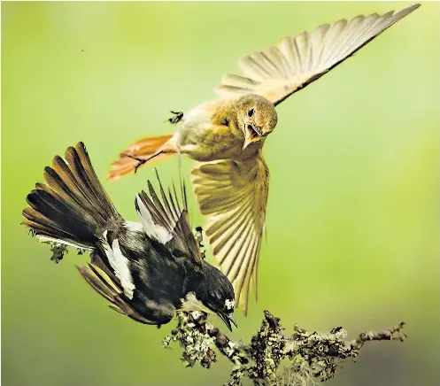 Collision course - PressReader