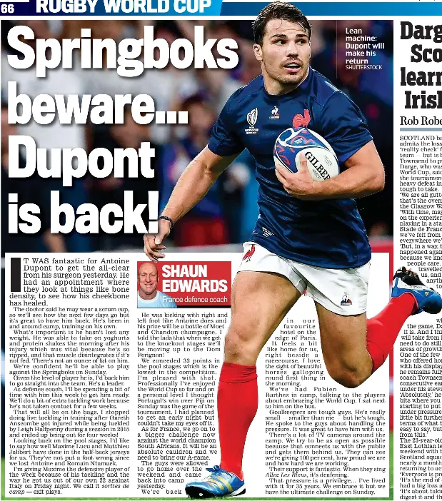 Springboks beware... Dupont is back! - PressReader
