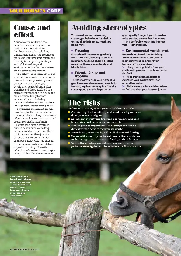 Avoiding stereotypi­es - PressReader