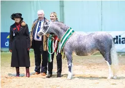 Breeder’s blockbuste­r result - PressReader