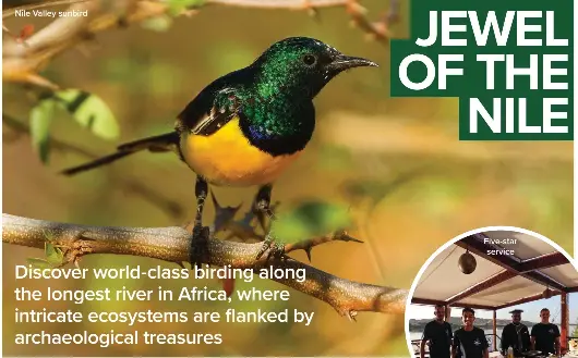 JEWEL OF THE NILE - PressReader